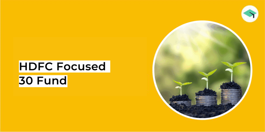 HDFC Focused 30 Fund: Overview, Performance, Portfolio